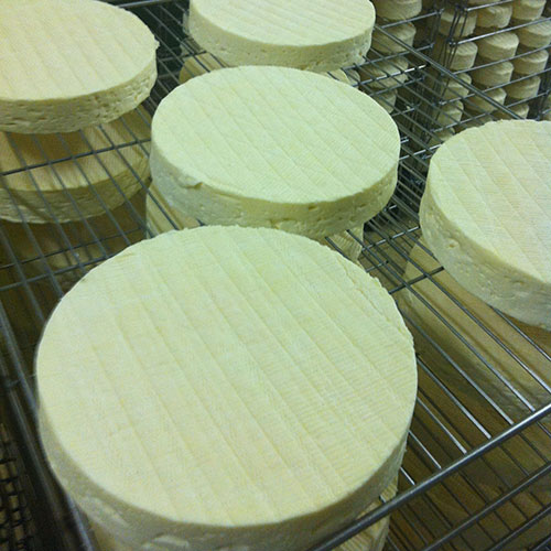 ROUZAIRE | FRMarketing